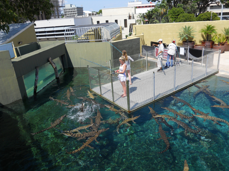 Crocosaurus Cove - MyDriveHoliday