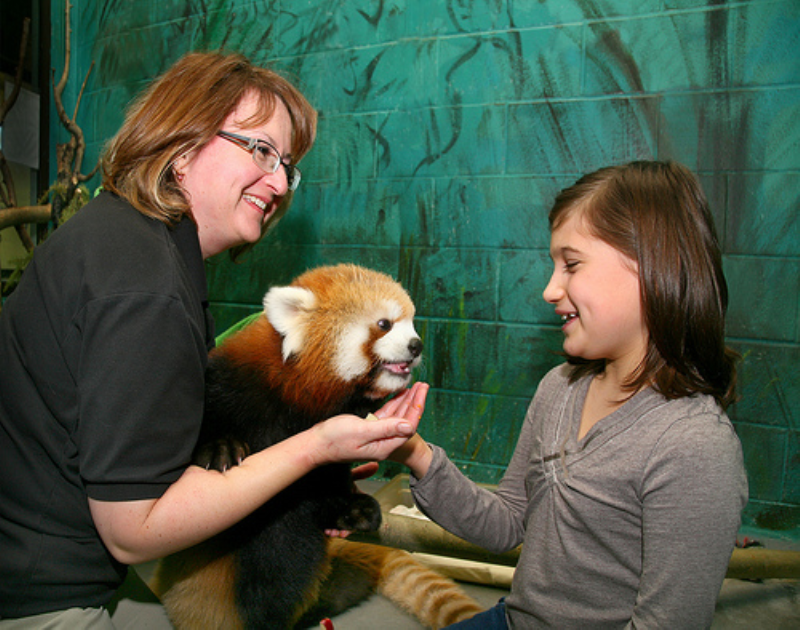 Edmonton Valley Zoo - MyDriveHoliday