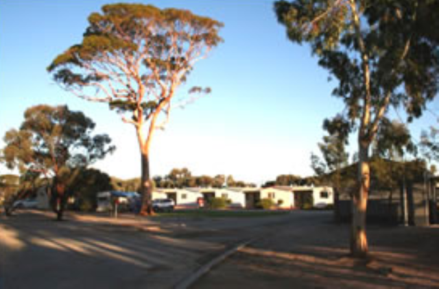 Merredin Tourist Park in Merredin, Western Australia