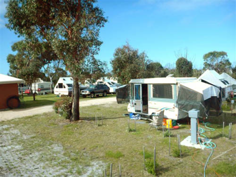 Scamander Sanctuary Caravan Park in Scamander, Tasmania
